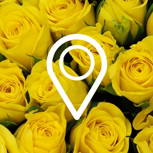 Free Spring Aesthetic App Icons for your Phone and Devices | guitar & lace