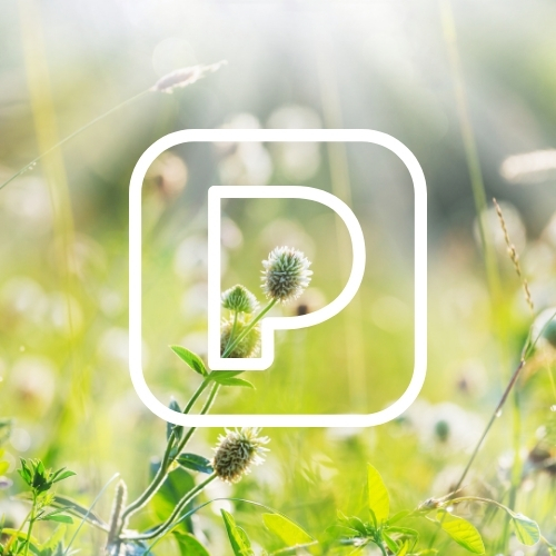 Free Spring Aesthetic iPhone App Icons