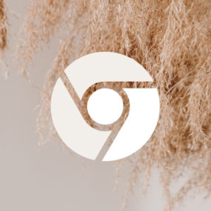 Chrome neutral app icon | guitar & lace