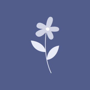 115+ Free Navy Blue App Icons for your phone & ipad | guitar & lace