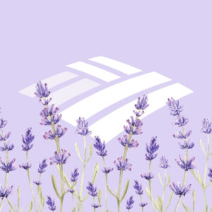 130+ Free Spring Lavender App Icons for your phone & devices