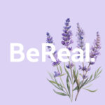 130+ Free Spring Lavender App Icons for your phone & devices