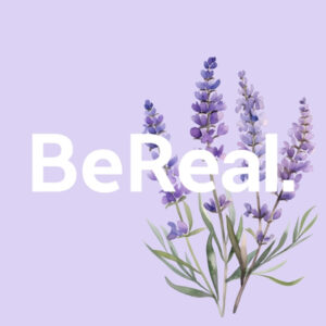 130+ Free Spring Lavender App Icons for your phone & devices