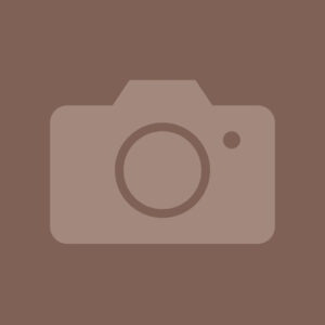 130+ Free Brown Aesthetic App Icons for your phone & devices