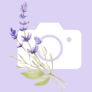 130+ Free Spring Lavender App Icons for your phone & devices
