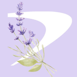 130+ Free Spring Lavender App Icons for your phone & devices