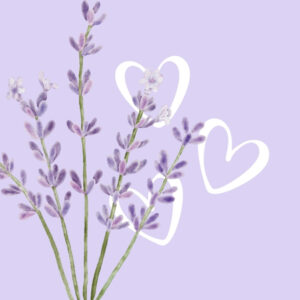 130+ Free Spring Lavender App Icons for your phone & devices