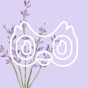 130+ Free Spring Lavender App Icons for your phone & devices