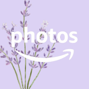 130+ Free Spring Lavender App Icons for your phone & devices