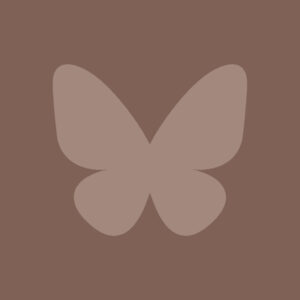 130+ Free Brown Aesthetic App Icons for your phone & devices