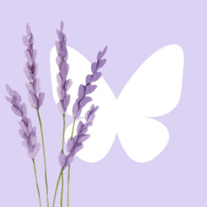 130+ Free Spring Lavender App Icons for your phone & devices